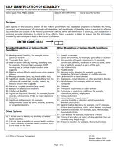SF 256 Form – Self-Identification of Handicap | SF Forms