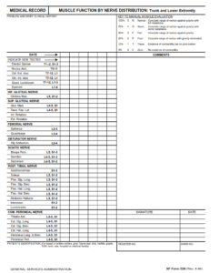 SF 529 Form – Muscle Function By Nerve Distribution: Trunk And Lower ...