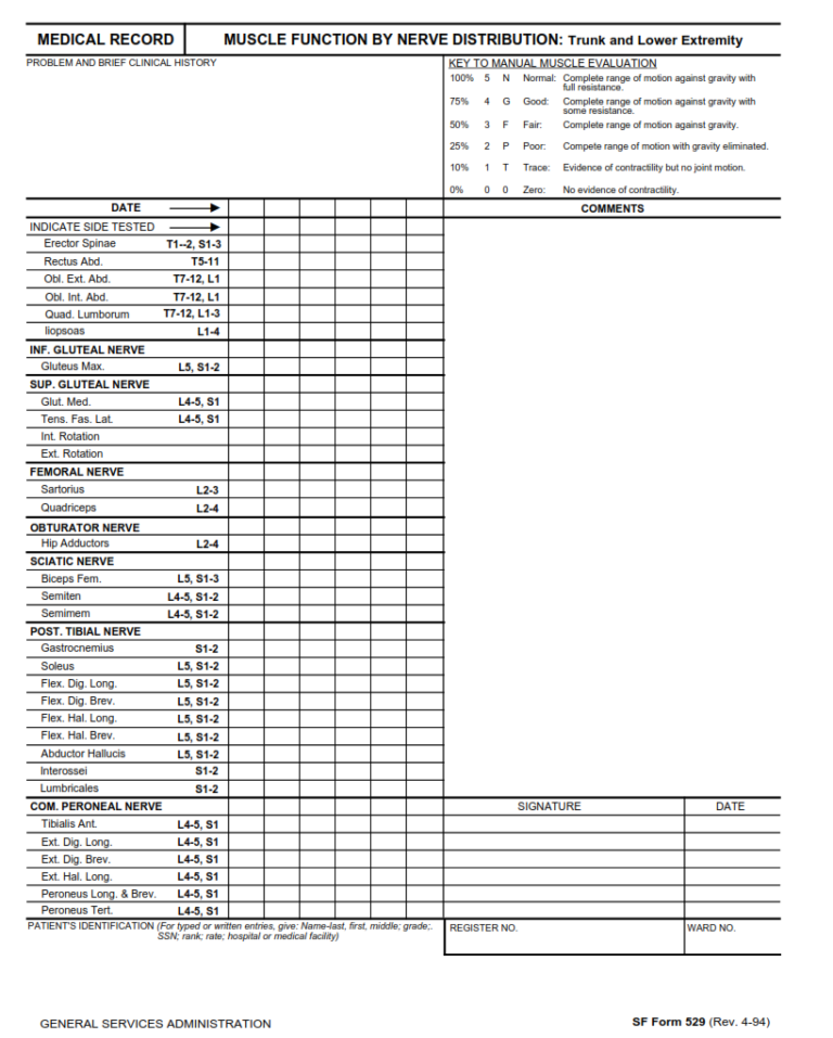 SF 529 Form – Muscle Function By Nerve Distribution: Trunk And Lower ...