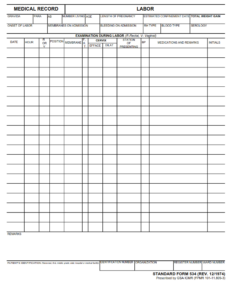 SF 534 Form – Medical Record – Labor | SF Forms